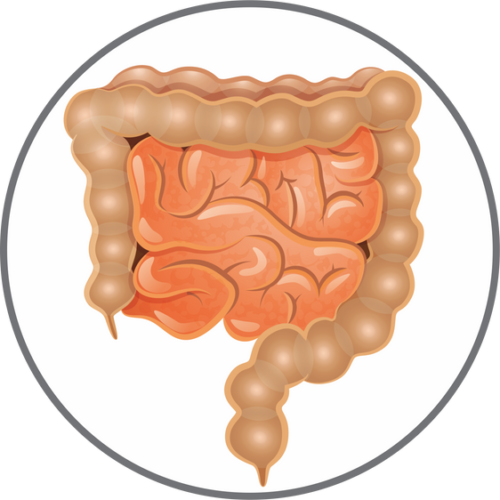 The NAET Clinic | NAET Therapy Has Been Helping Patients Regain Their ...